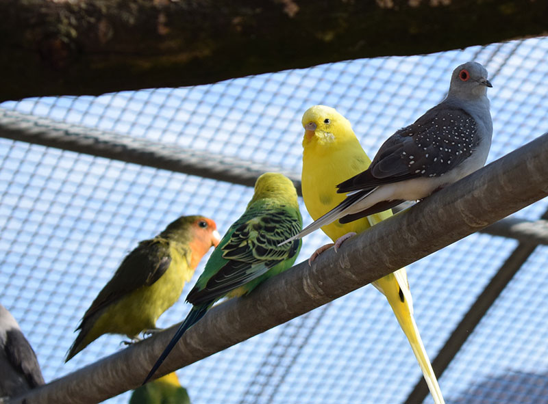 Karakiri – Casa Orizzonti